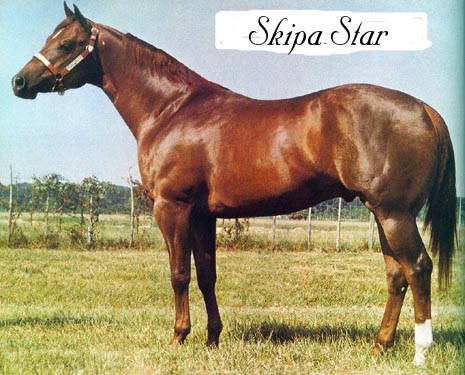 [PEYRES APPALOOSAS] : Poster un message